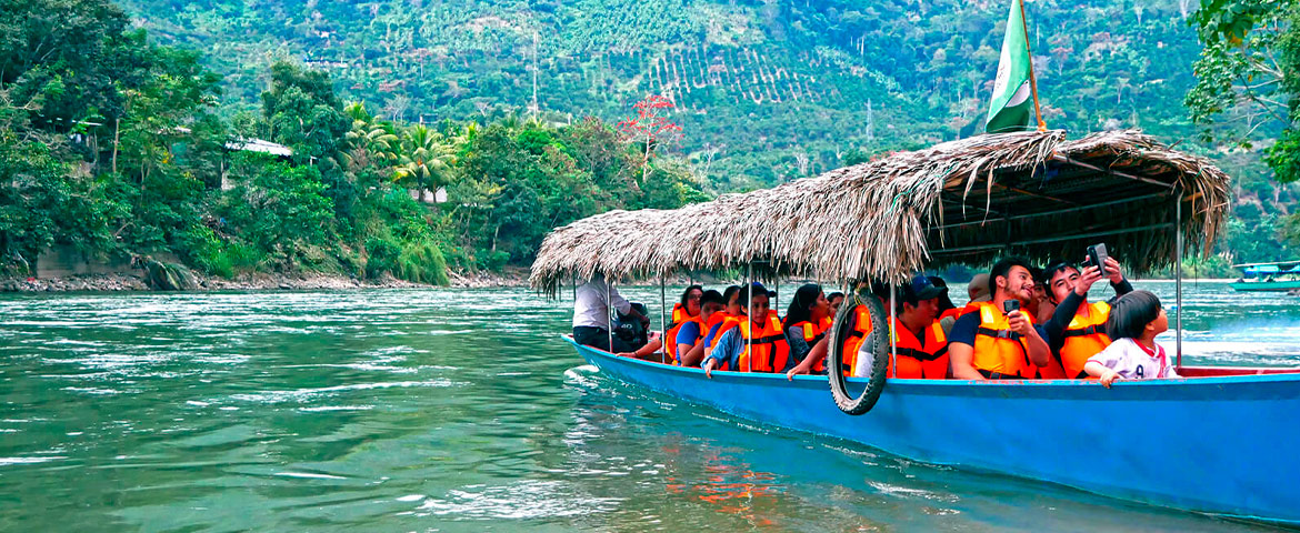 Selva Central Reactivado